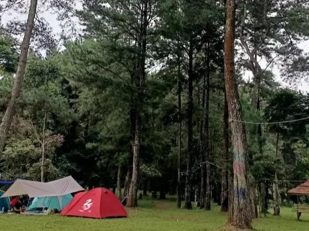 Seureuh Hejo, Permata Hijau Geopark Bogor yang Tersimpan di Tanah ...