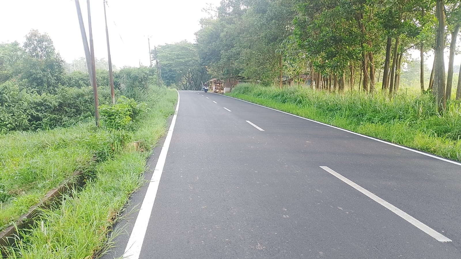 Tak Sekadar Mulus, Jalan Jasinga - Tenjo Kini Lebih Aman Berkat Marka ...